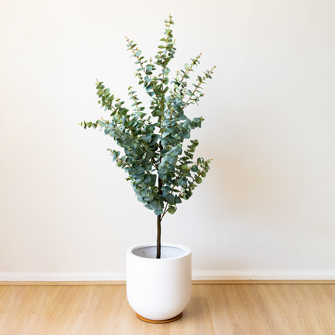 Shop Large Artificial Plants | Designer Large Artificial Plants