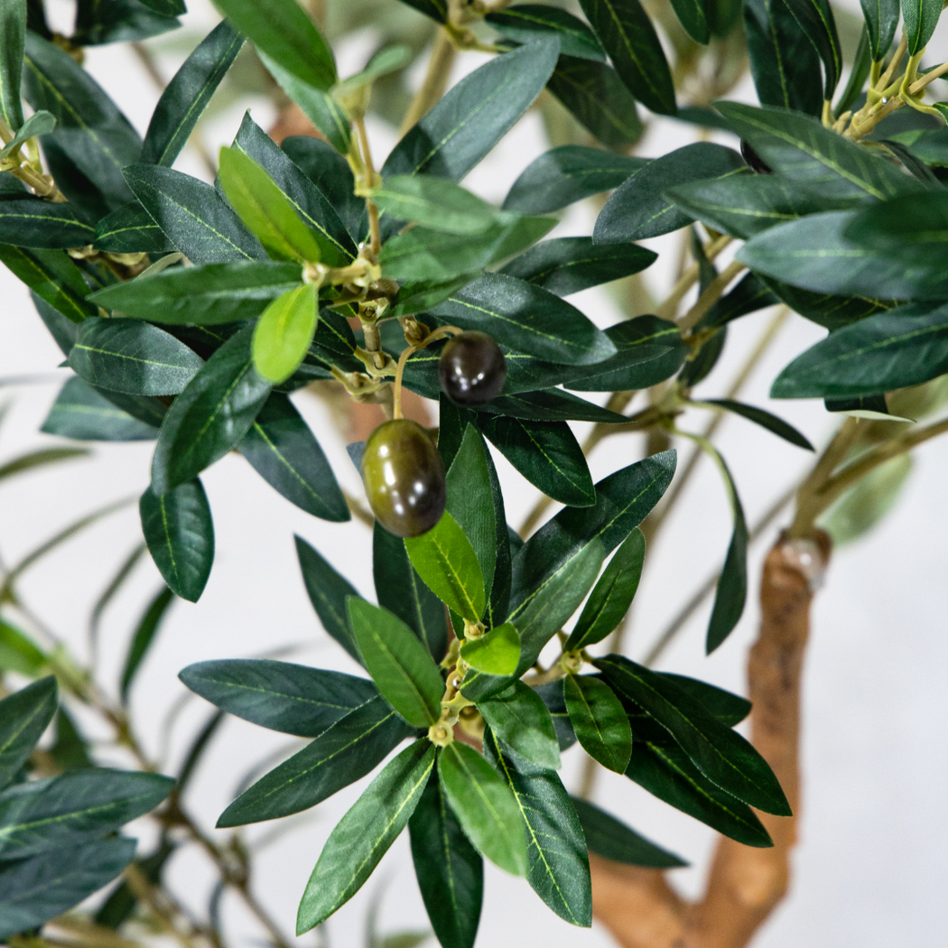 Shop Artificial Olive Trees - The Plant Factory