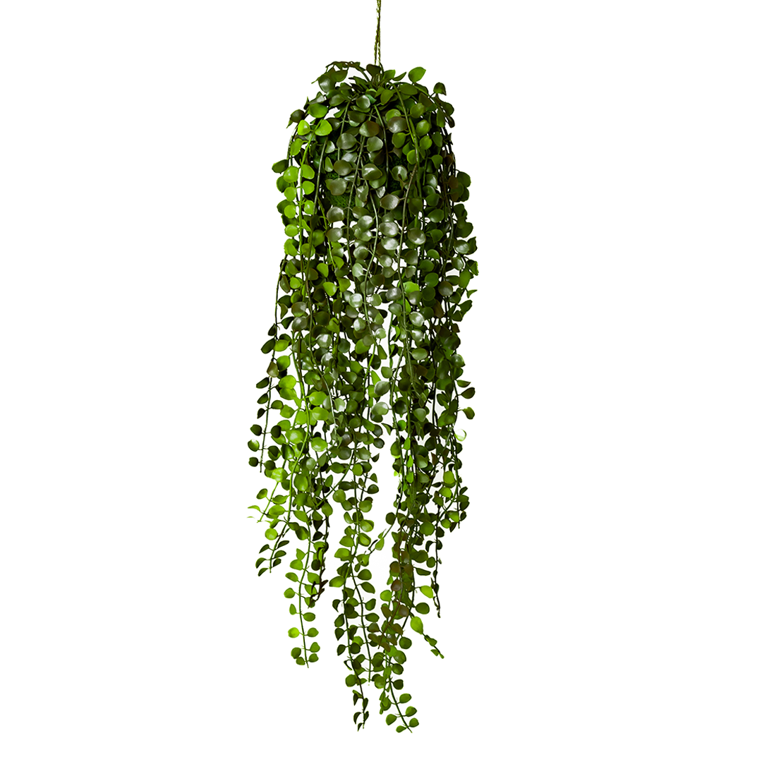 Artificial Hanging Plants | The Plant Factory | Shop Online