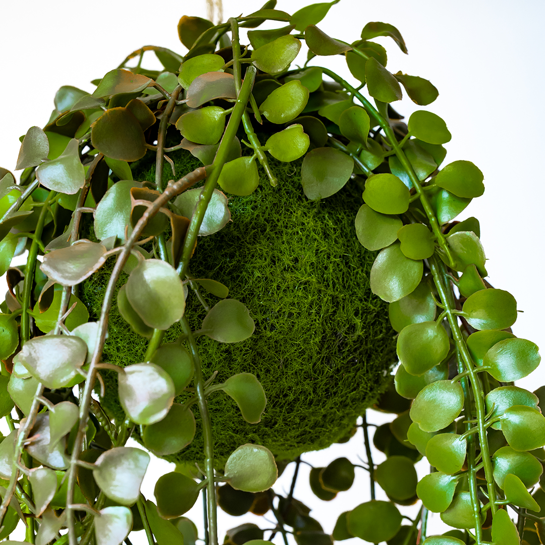 Artificial Hanging Plants | The Plant Factory | Shop Online
