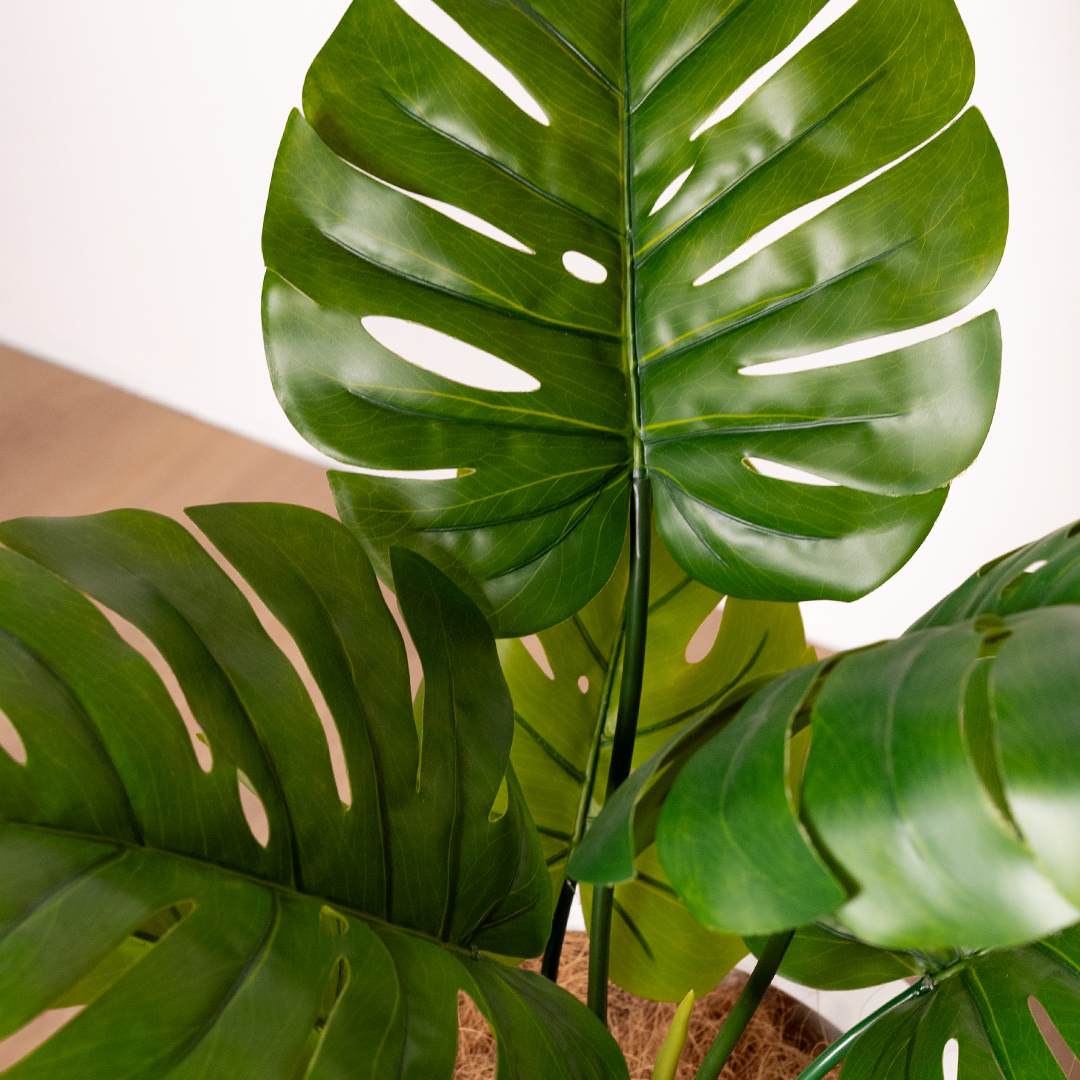 Artificial Monstera | The Plant Factory | Shop Online