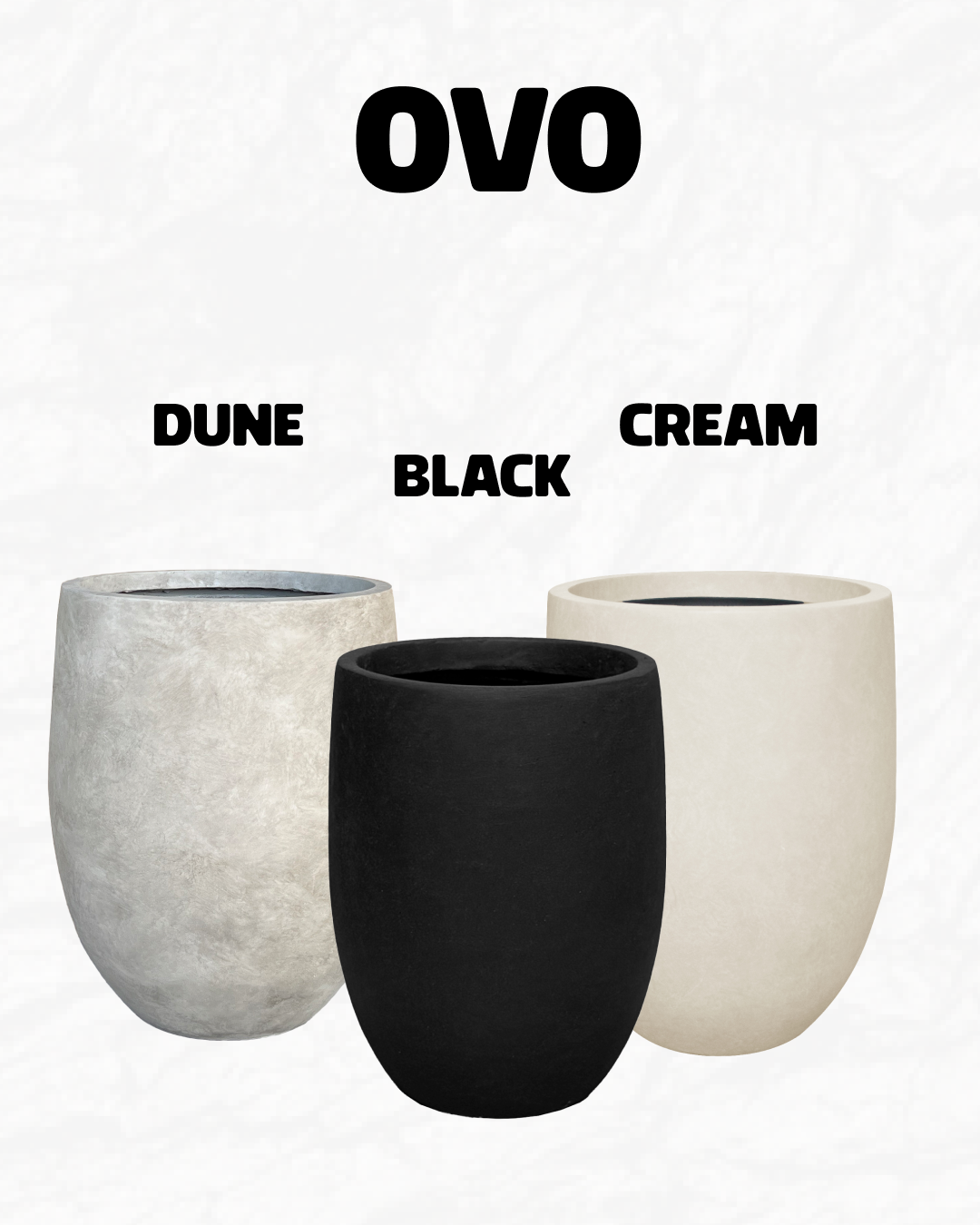 Ovo – The Plant Factory