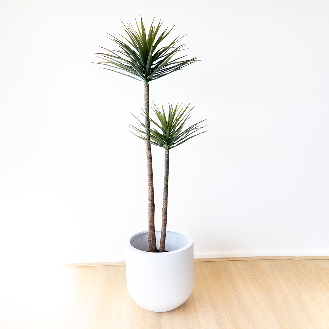 Best Artificial Yucca Plant Minimal Decor | The Plant Factory
