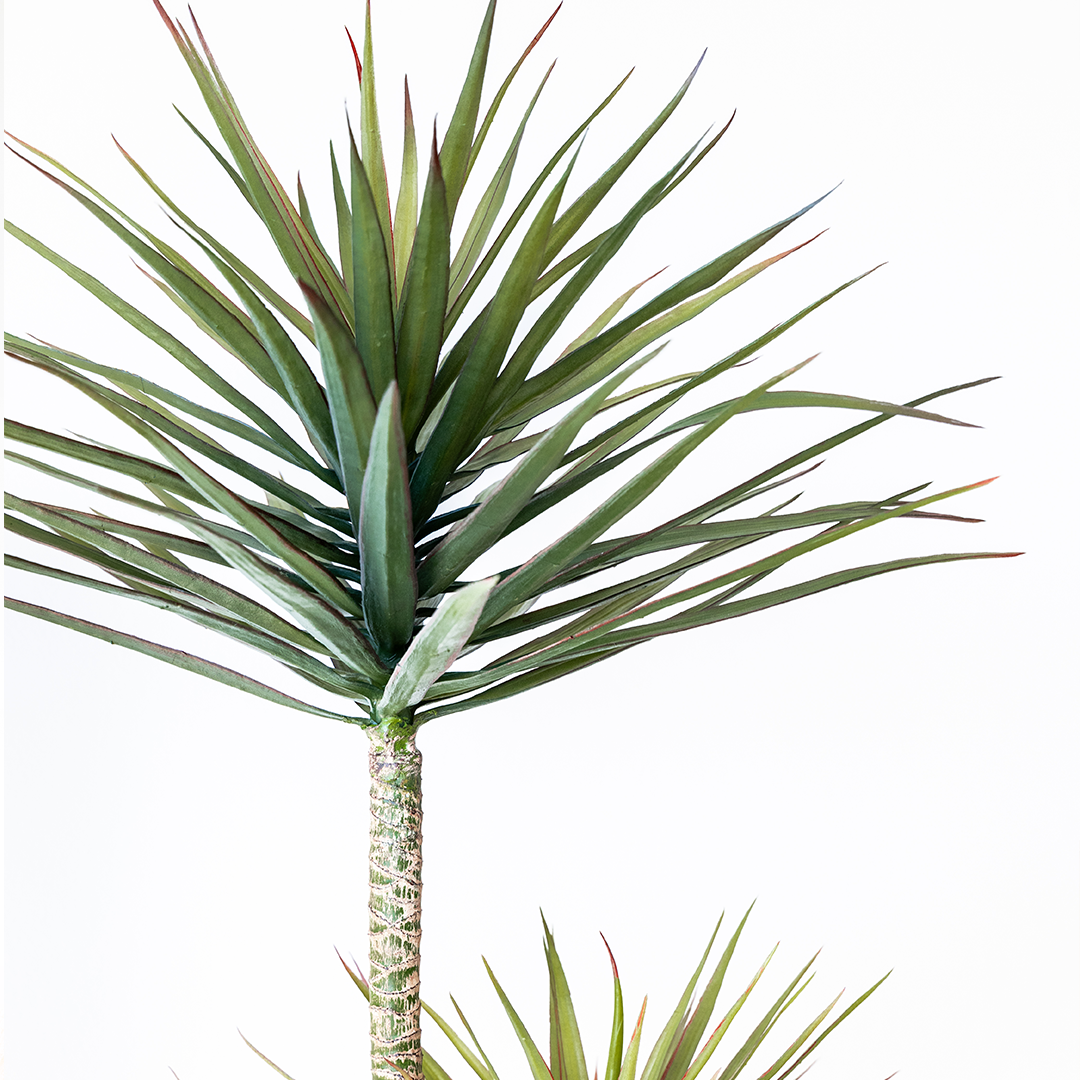 Best Artificial Yucca Plant Minimal Decor | The Plant Factory